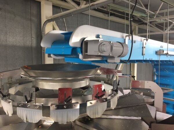 Engineered Conveyor Systems | Custom Conveying Solutions